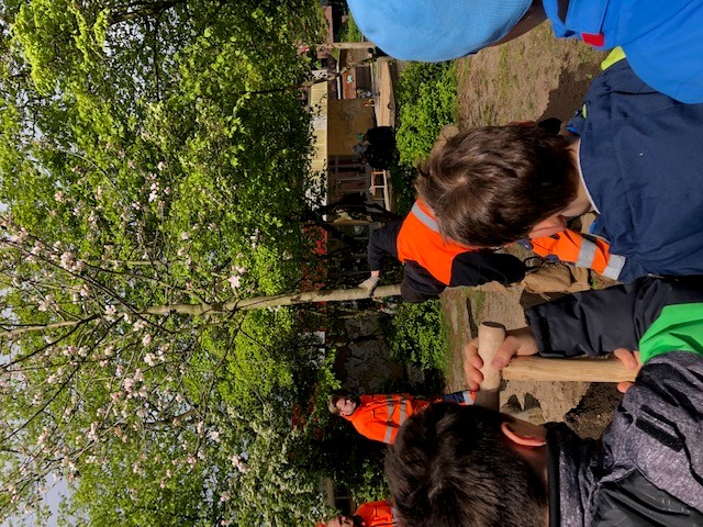 Ein Apfelbaum für Frau Meyer - Schule am Weidedamm
