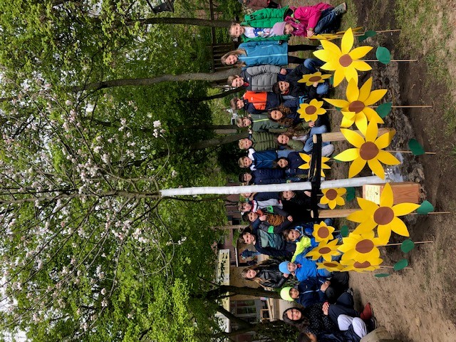 Ein Apfelbaum für Frau Meyer - Schule am Weidedamm