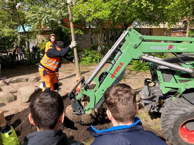 Ein Apfelbaum für Frau Meyer - Schule am Weidedamm